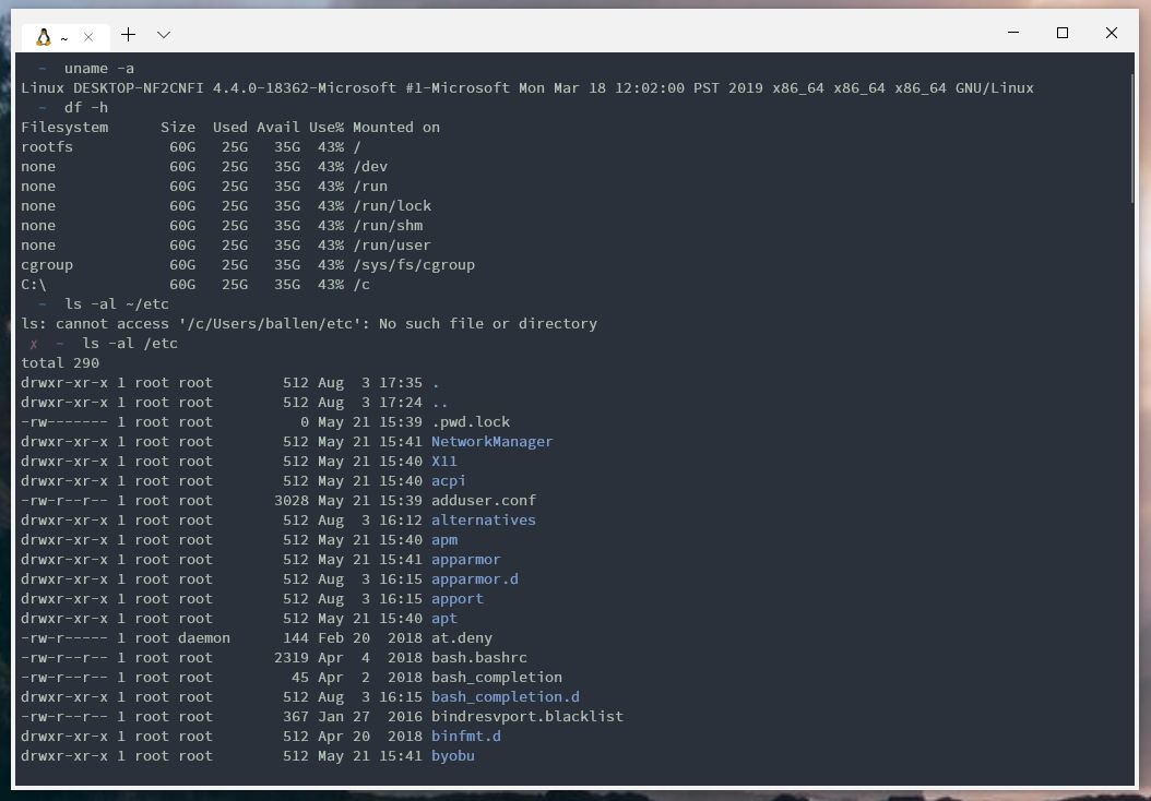 An awesome Linux terminal (with Microsoft Terminal and Oh-My-ZSH) on ...